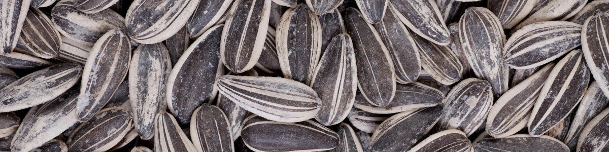 Wat is Linolzuur? Alles over dit Omega 6-vetzuur | Vaud